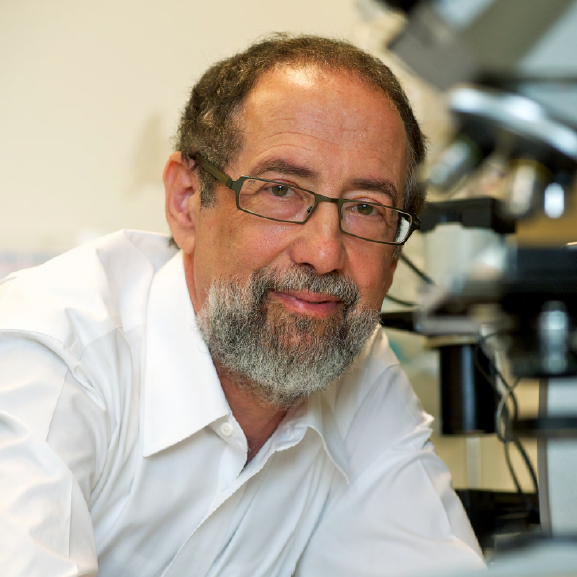 Prof Samuel Breit - St Vincents Clinic